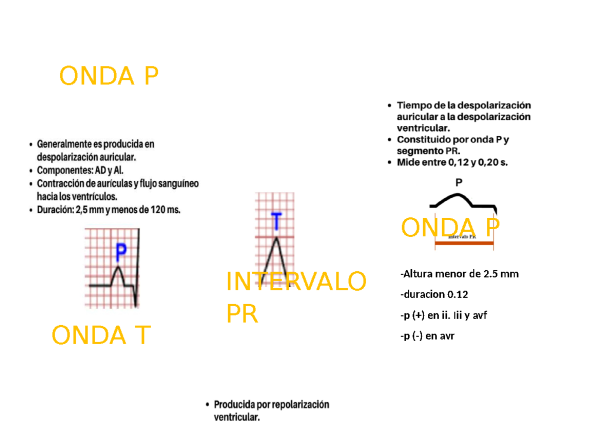 electrocardiograma - ONDA P ONDA T INTERVALO PR ONDA P -Altura menor de ...