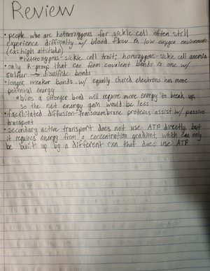 Stages of mitosis in garlic root tip cells - Sizes of A. sativum root ...