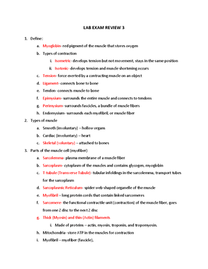 A&P lab Chapter 1-3 notes - Lab 1- Body Organization and Terminology ...
