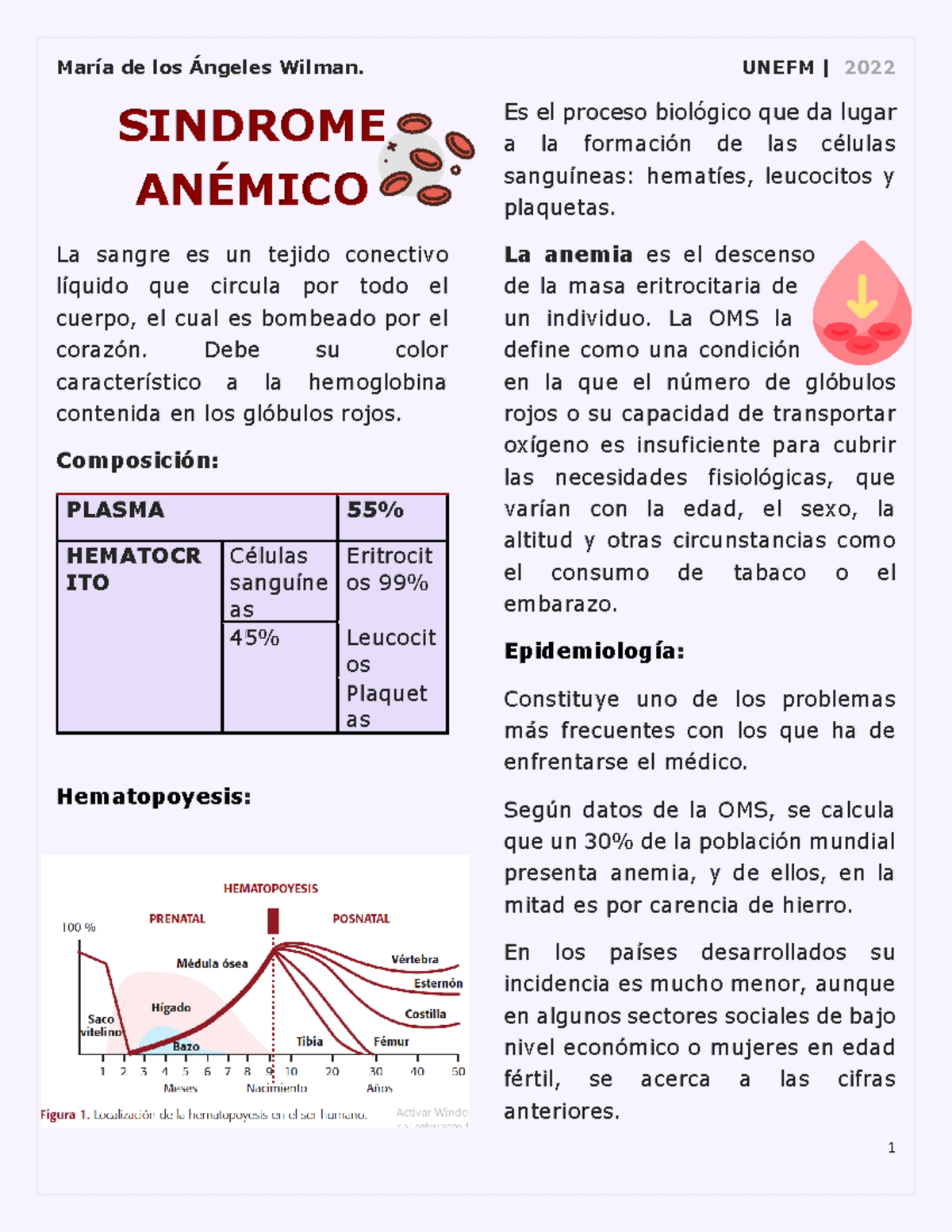 Sindrome anemico - Morfofisiopatologia III - SINDROME ANÉMICO La sangre ...