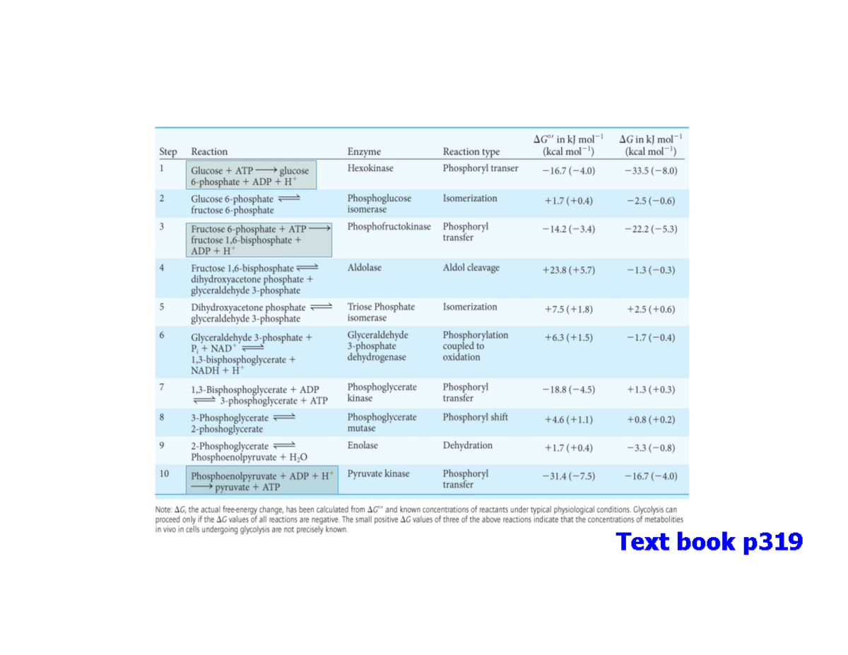 Glycolysis Energy Chart - AG in kJ AG in kJ Step Reaction Enzyme ...