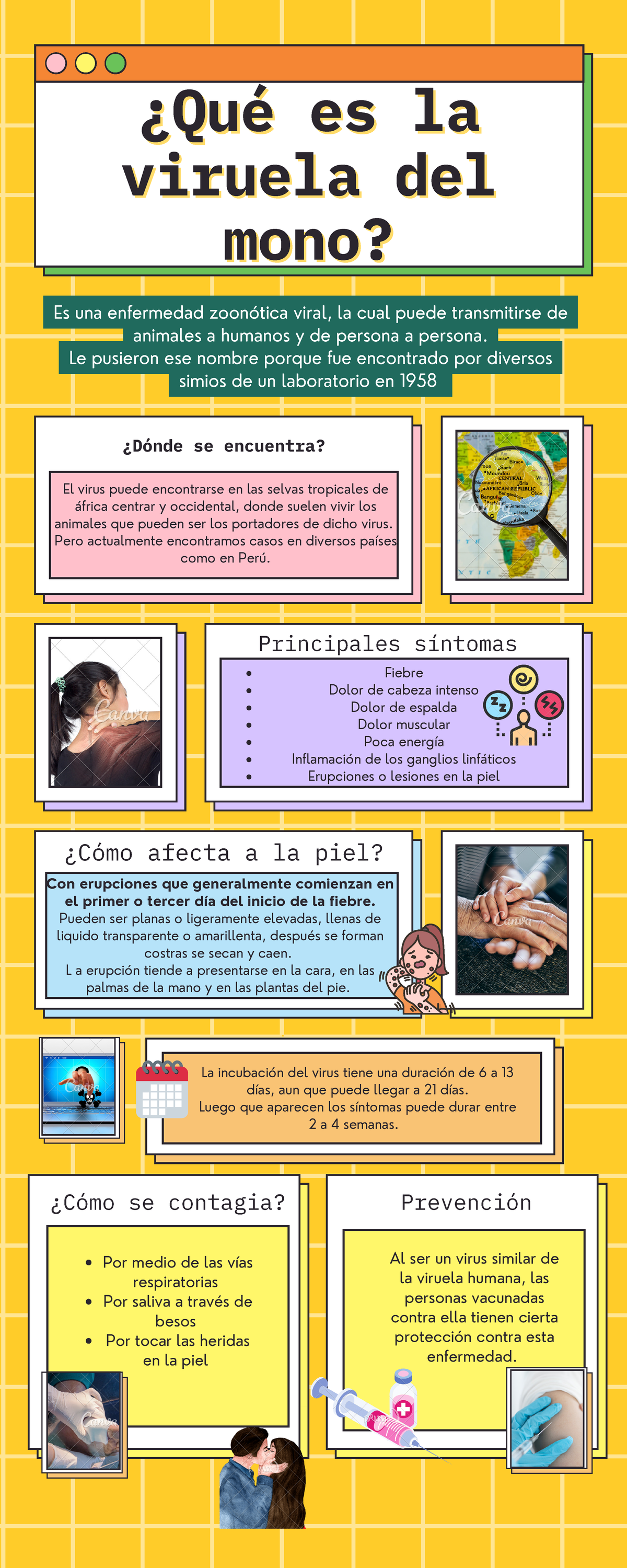 Infografia de la viruela del mono - ¿Qué es la¿Qué es la viruela delviruela del mono?mono ...