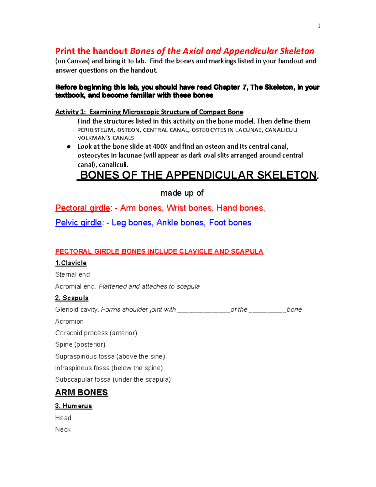 Bones notes - Print the handout Bones of the Axial and Appendicular ...