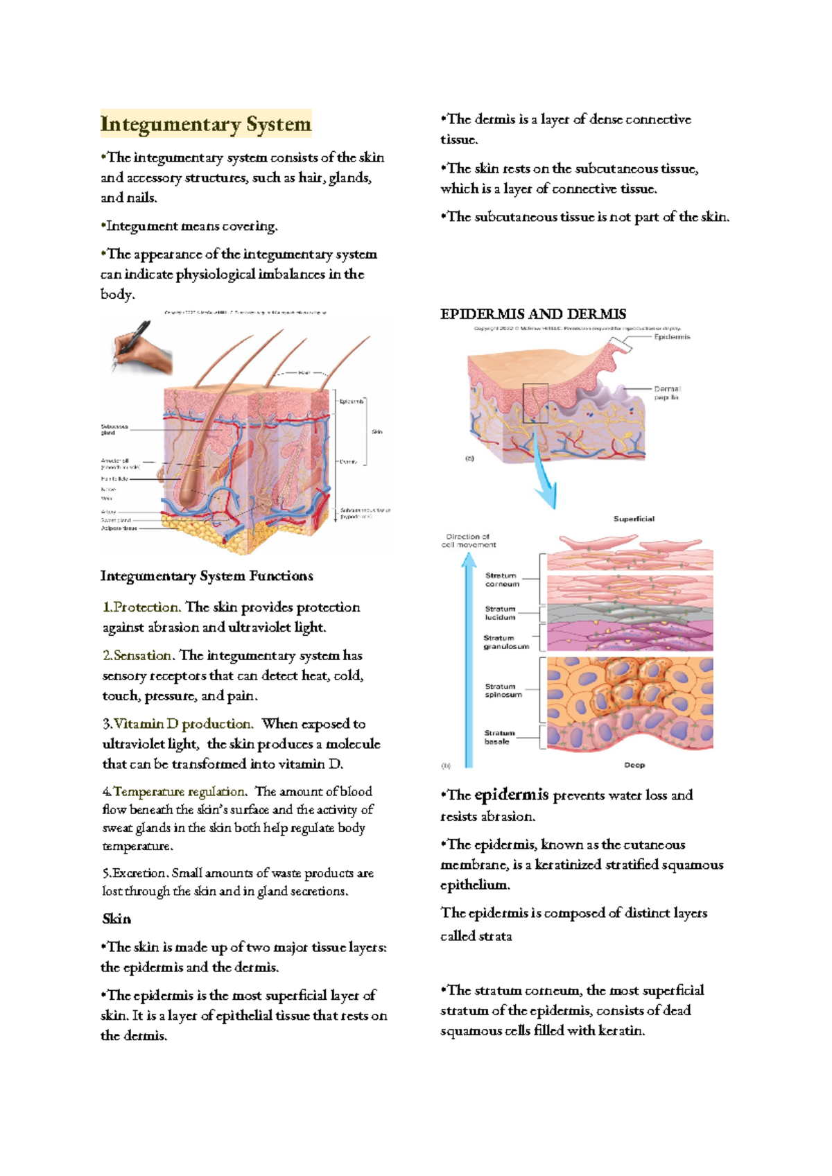Reviewer WEEK 5 Integumentary - Integumentary System • The ...