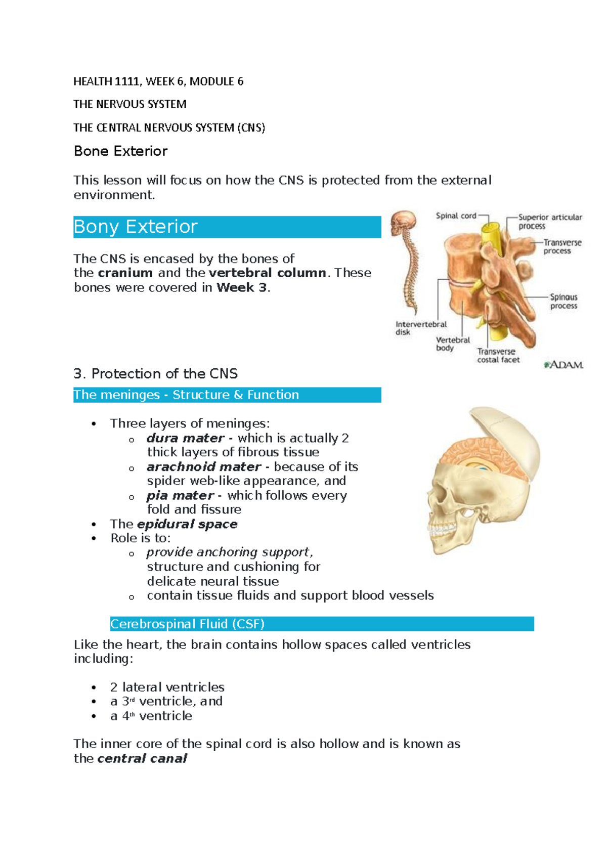 Health 1111, W6M6 - Lecture notes 6 - HEALTH 1111, WEEK 6, MODULE 6 THE ...