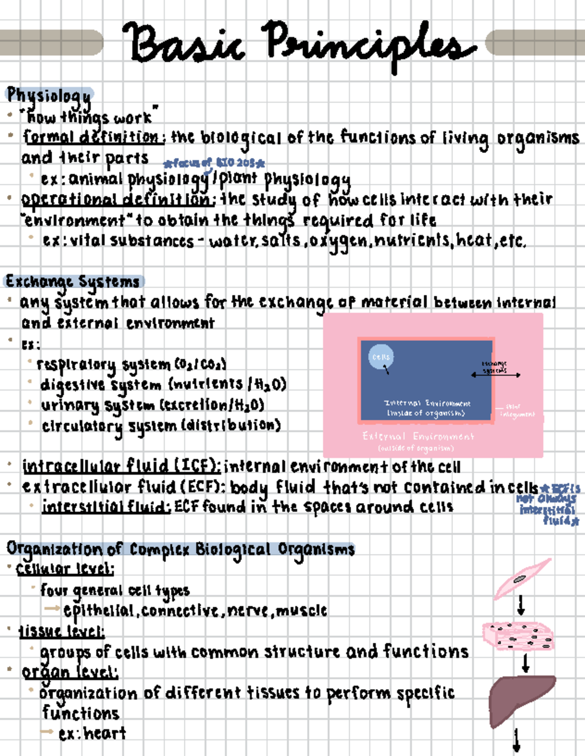 Module 1- basic principles & thermoregulation - Basic Principles Physiology · "How things - Studocu