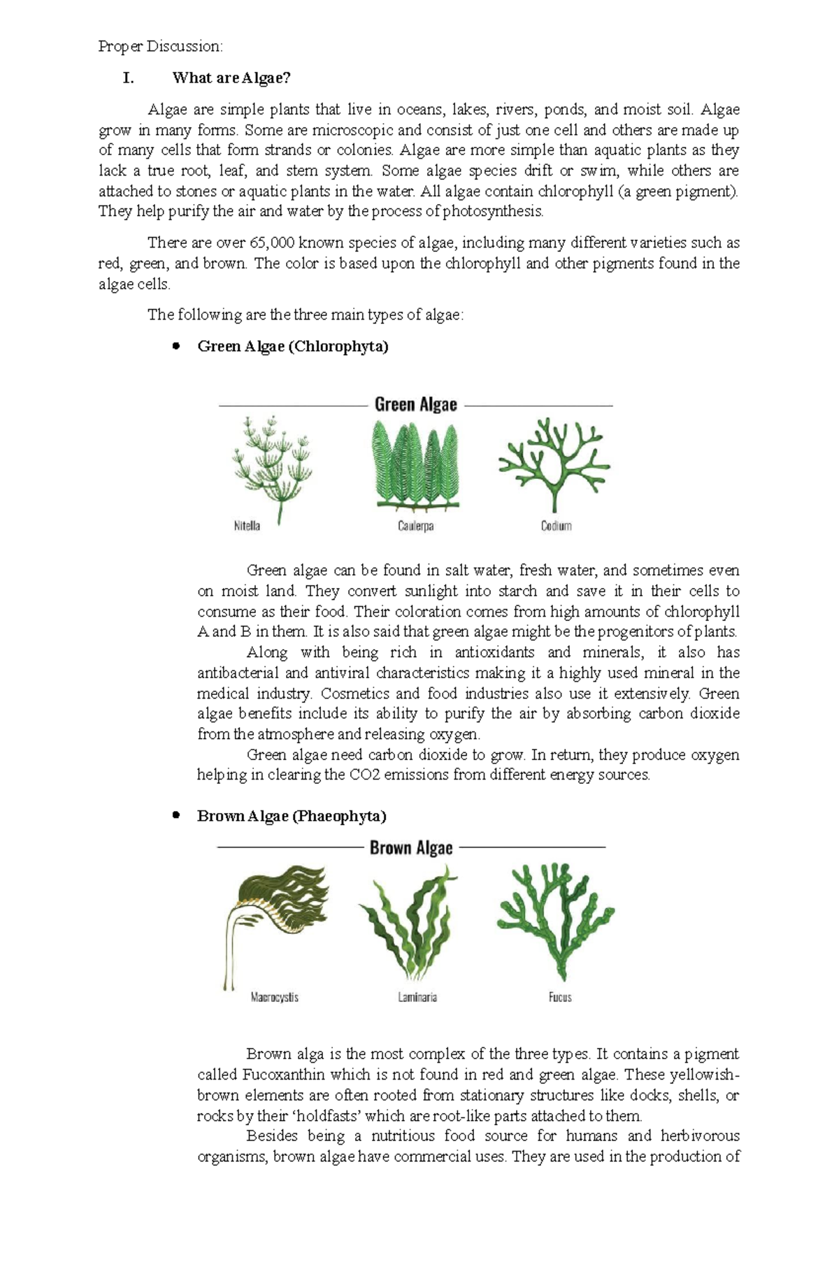 Algae - Proper Discussion: I. What are Algae? Algae are simple plants ...