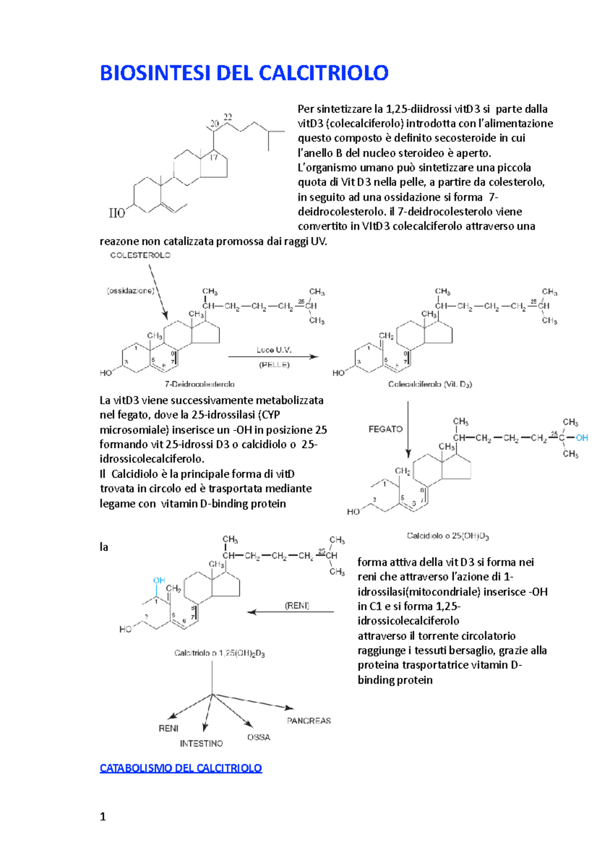 Biosintesi DEL Calcitriolo - BIOSINTESI DEL CALCITRIOLO Per ...