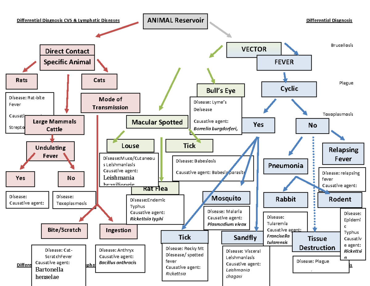 Ch 23 CVS & Lymph Diff Diagnosis 2024 - Differential Diagnosis CVS ...