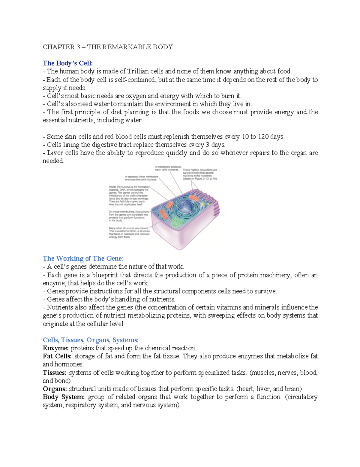 Chapter 3 Book Notes - Professor Plourde - CHAPTER 3 – THE REMARKABLE ...