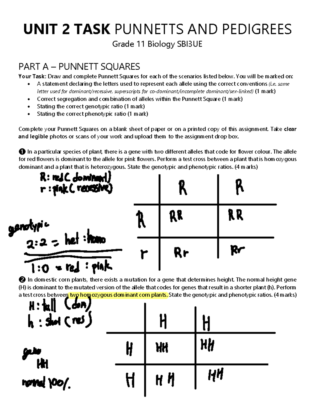 SBI3UE Unit 2 Task Punnetts and Pedigrees 1 1 - 2483A - UWO - Studocu