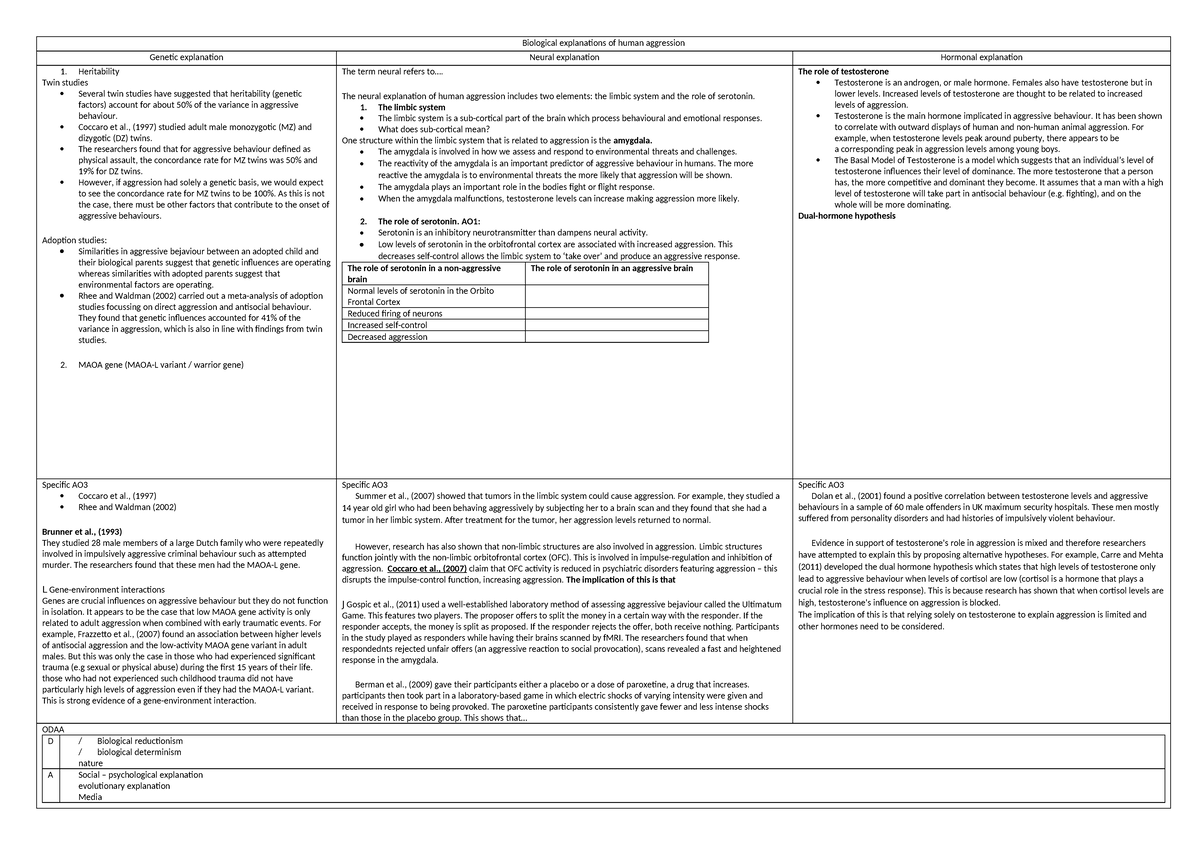 Aggression A3 sheet - ballsballsballs - Biological explanations of ...