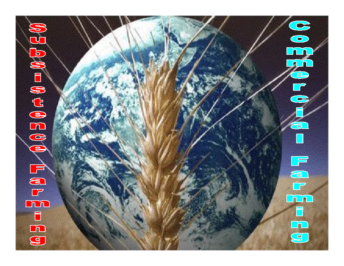 Subsistence vs commercial - Primary Activities: Agriculture • Def ...