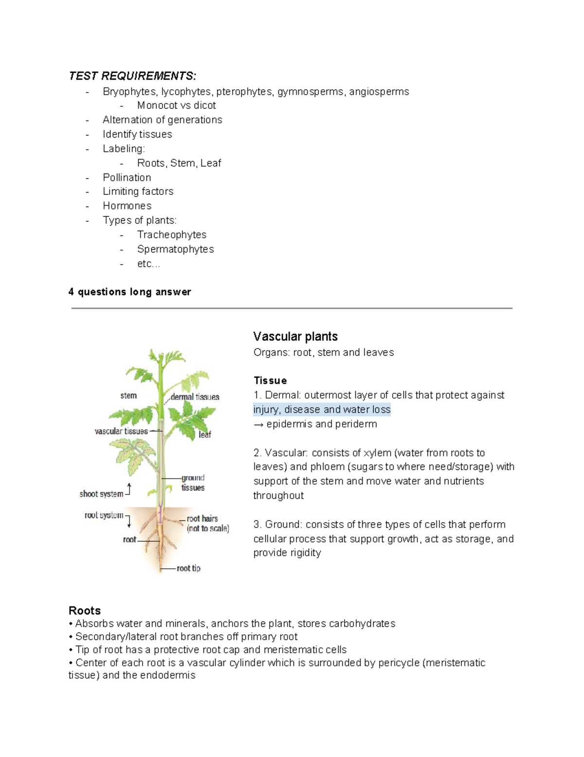Plants Quiz Review - plant quiz - TEST REQUIREMENTS: Bryophytes ...