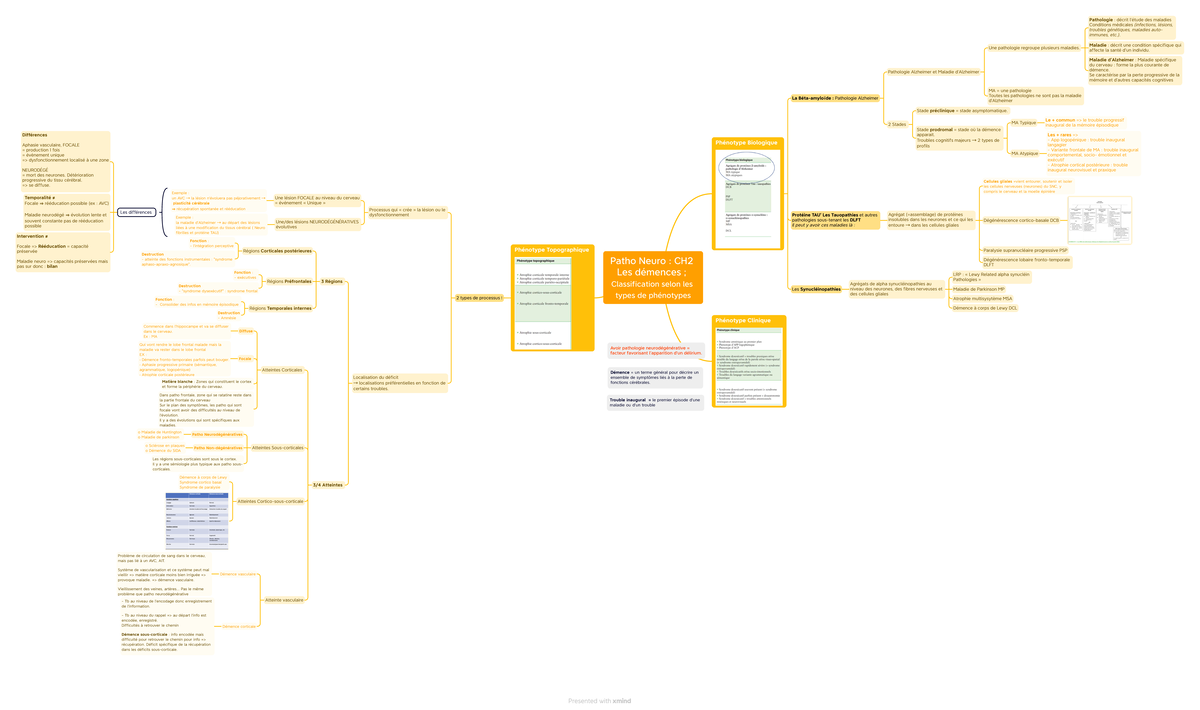 Mind Map Patho neuro CH2 Les démences P2 - Patho Neuro : CH Les démences ; Classification selon ...
