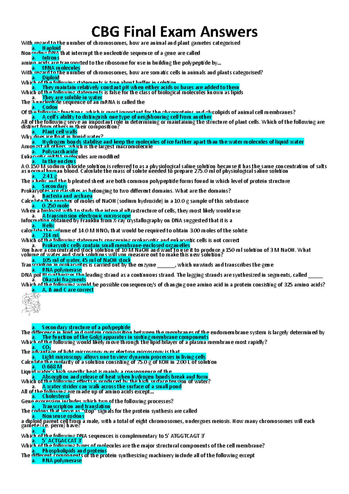 Final Exam 2019, answers - CBG Final Exam Answers With regard to the ...