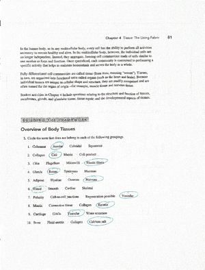 Chapter 3 packet - All about the Cells: The Living Units - BIOL241 ...