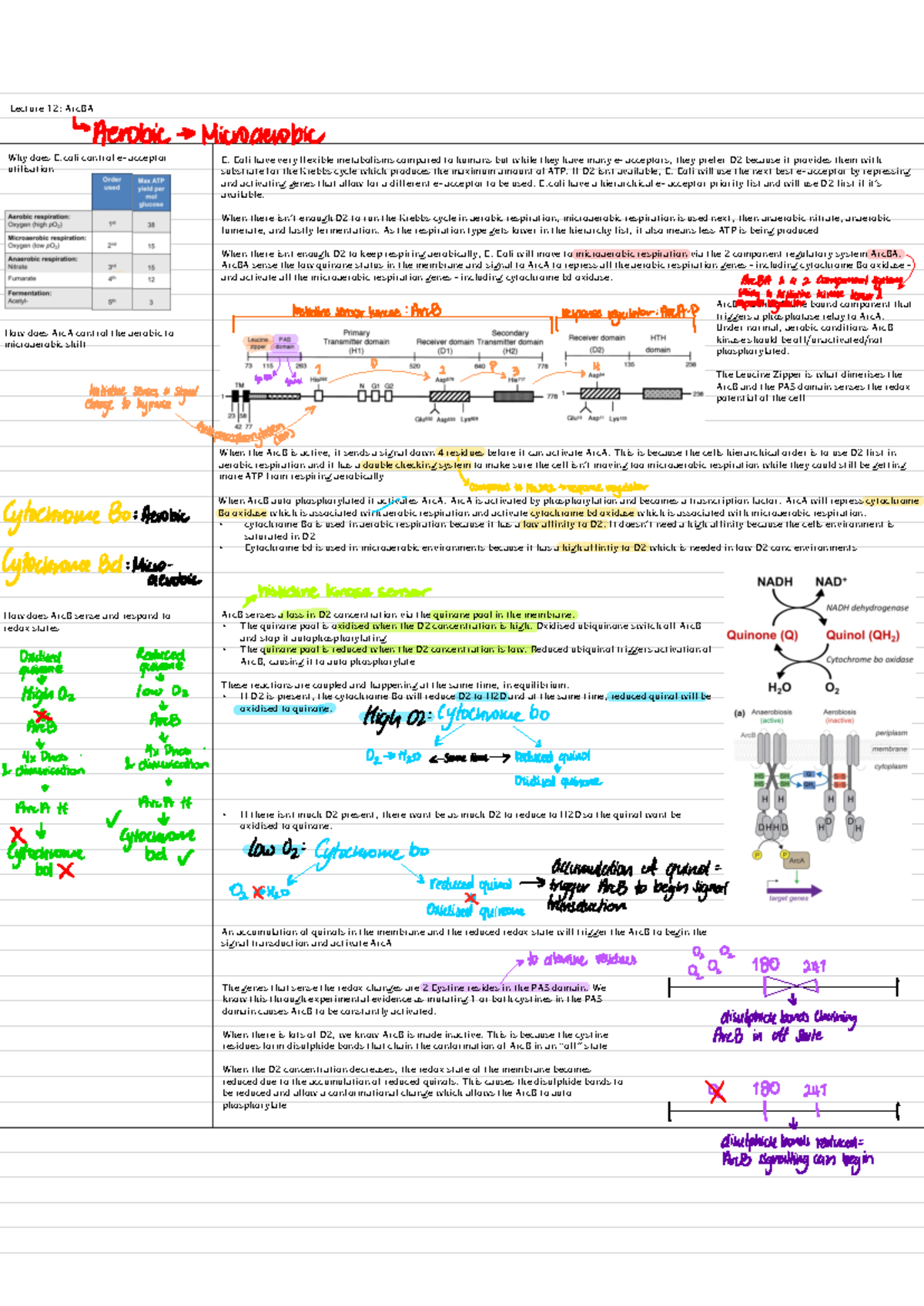 Micr335 Arc Ba Lecture Note Summaries From Vernon And Htins Lectures Lecture 12 Arcba Why