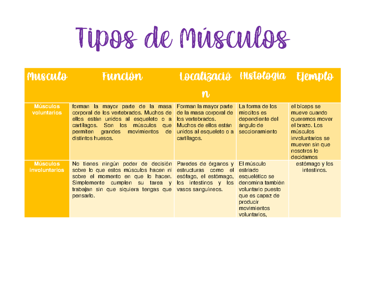 6 DE Noviembre Tarea Clasificacion DE LOS Musculos Sofia Morales ...