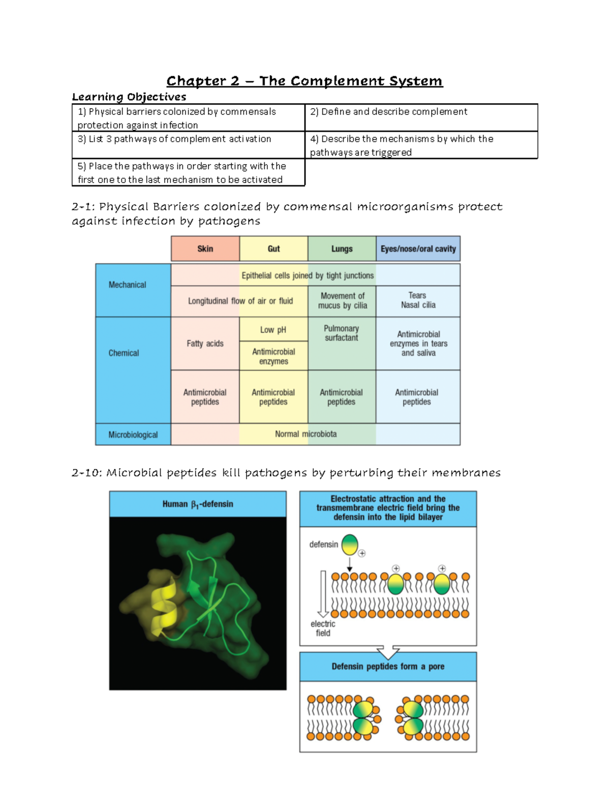 Chapter 2 - Notes - Chapter 2 – The Complement System Learning ...