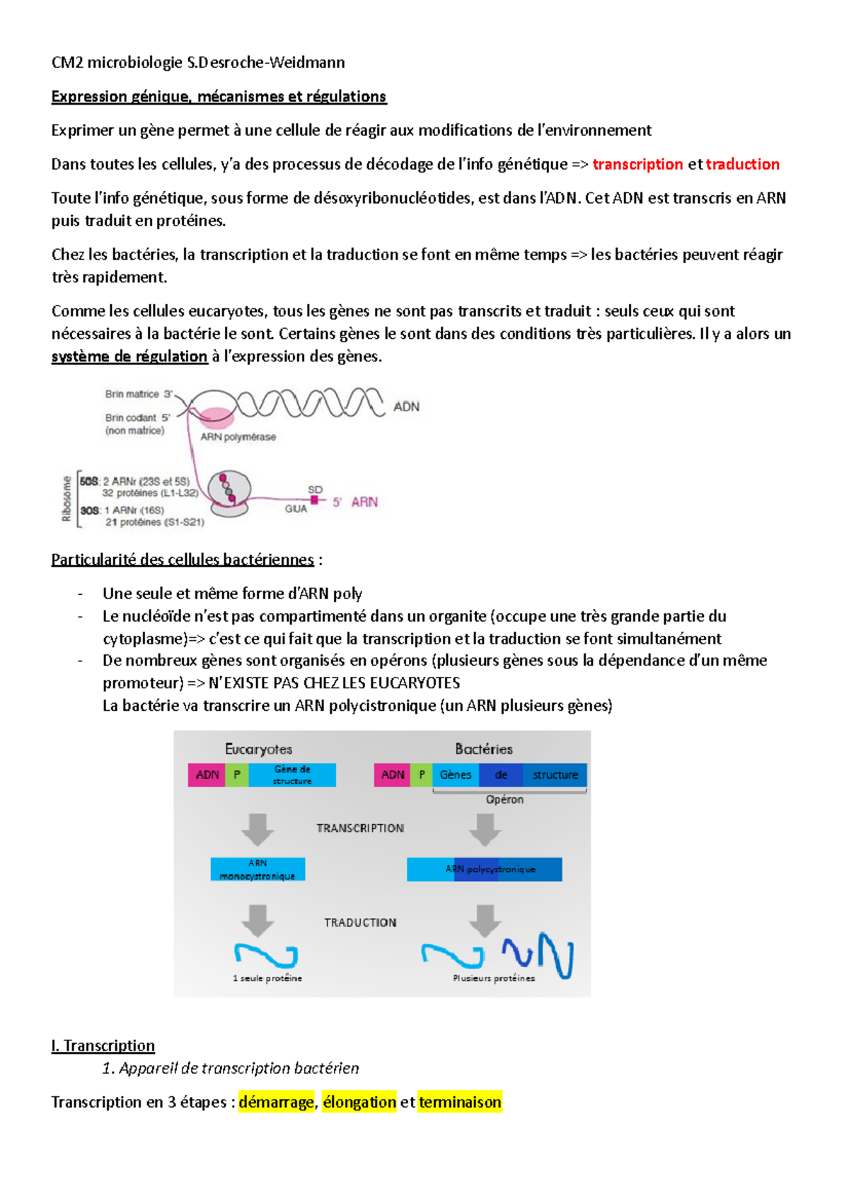 Microbiologie : résumé - CM2 microbiologie S-Weidmann Expression génique, mécanismes et ...