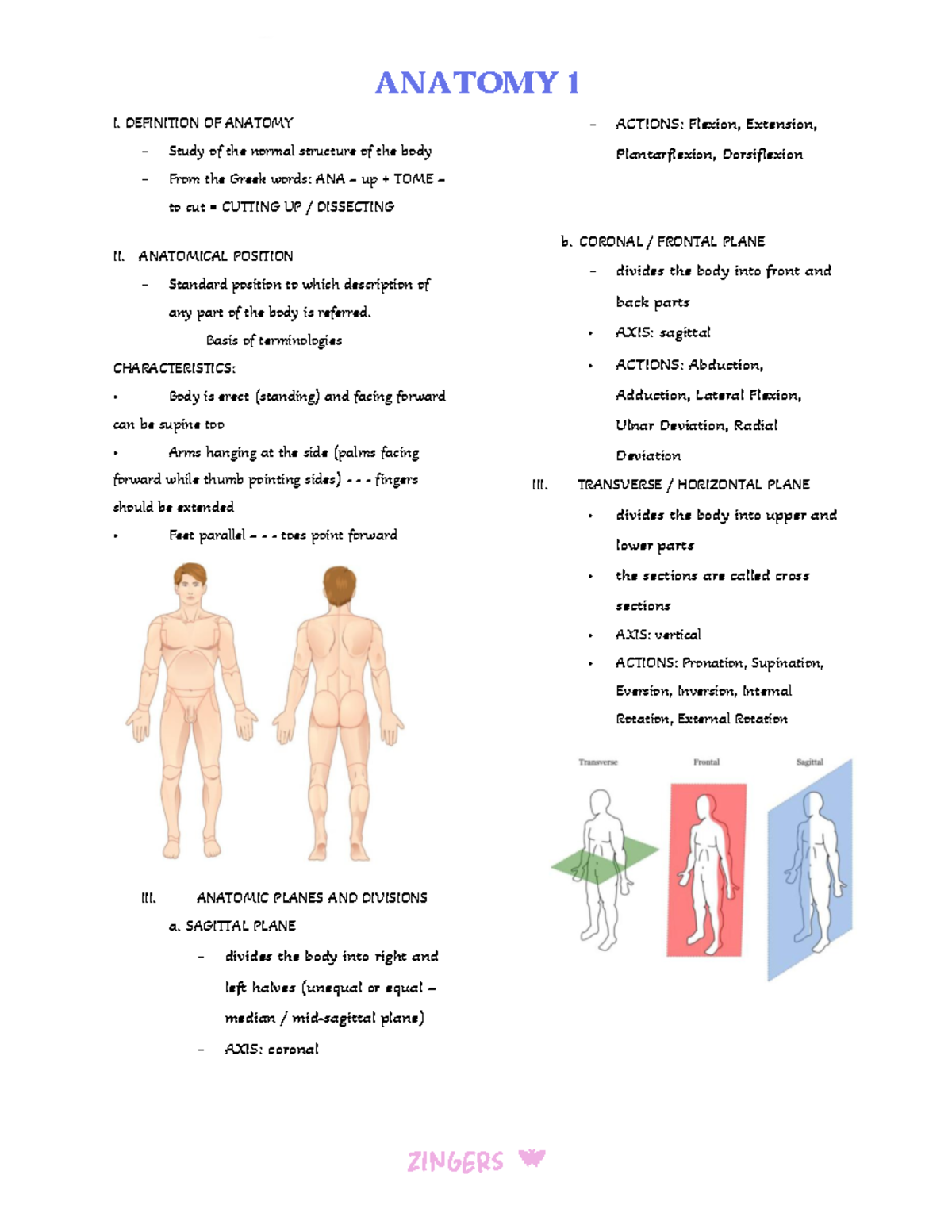 Ana reviewer - IHAP - I. DEFINITION OF ANATOMY − Study of the normal ...