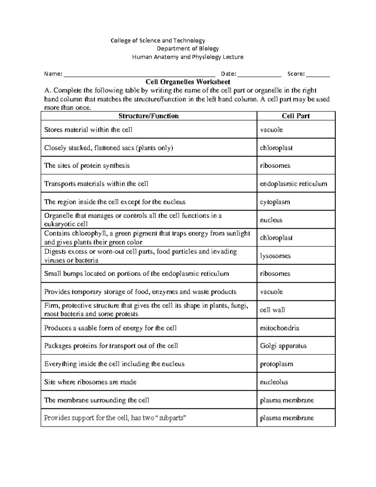 The cell Worksheet - College of Science and Technology Department of ...