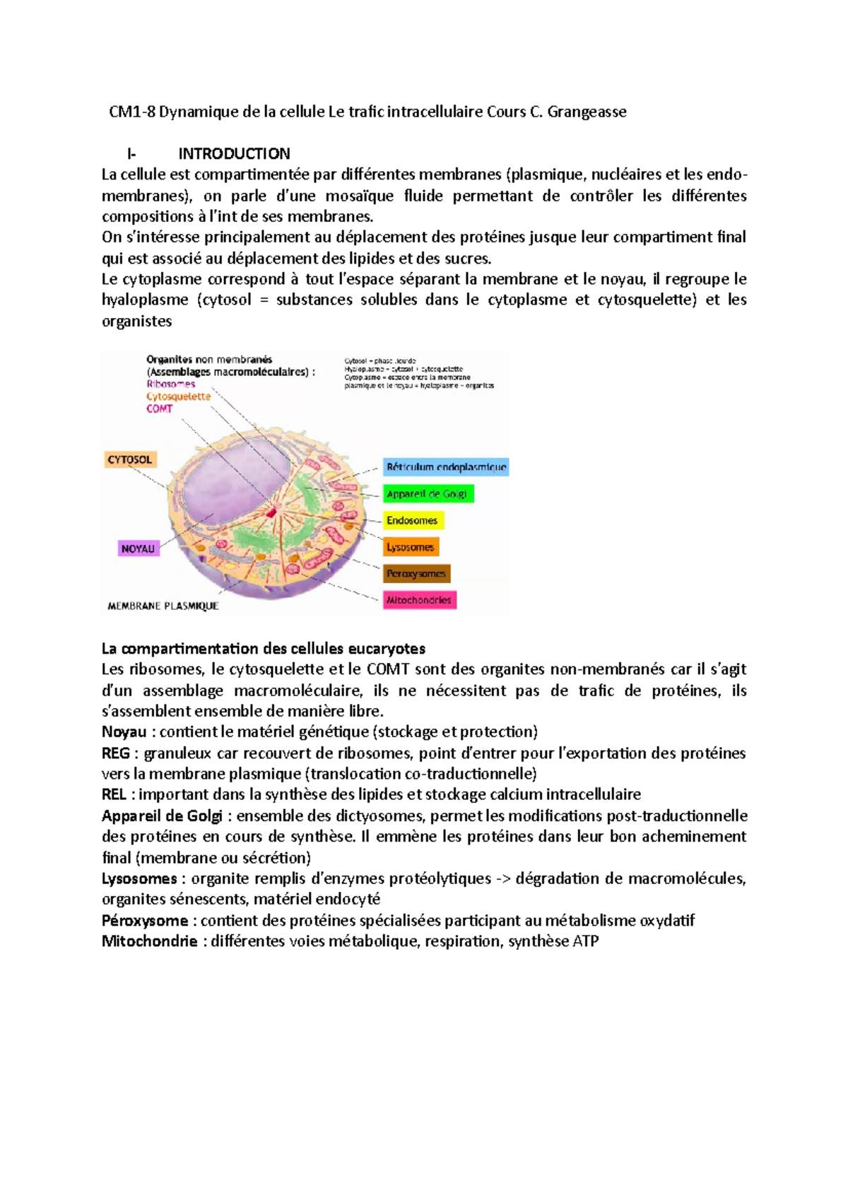 CM1-7 Dynamique de la cellule Le trafic intracellulaire - Grangeasse I ...