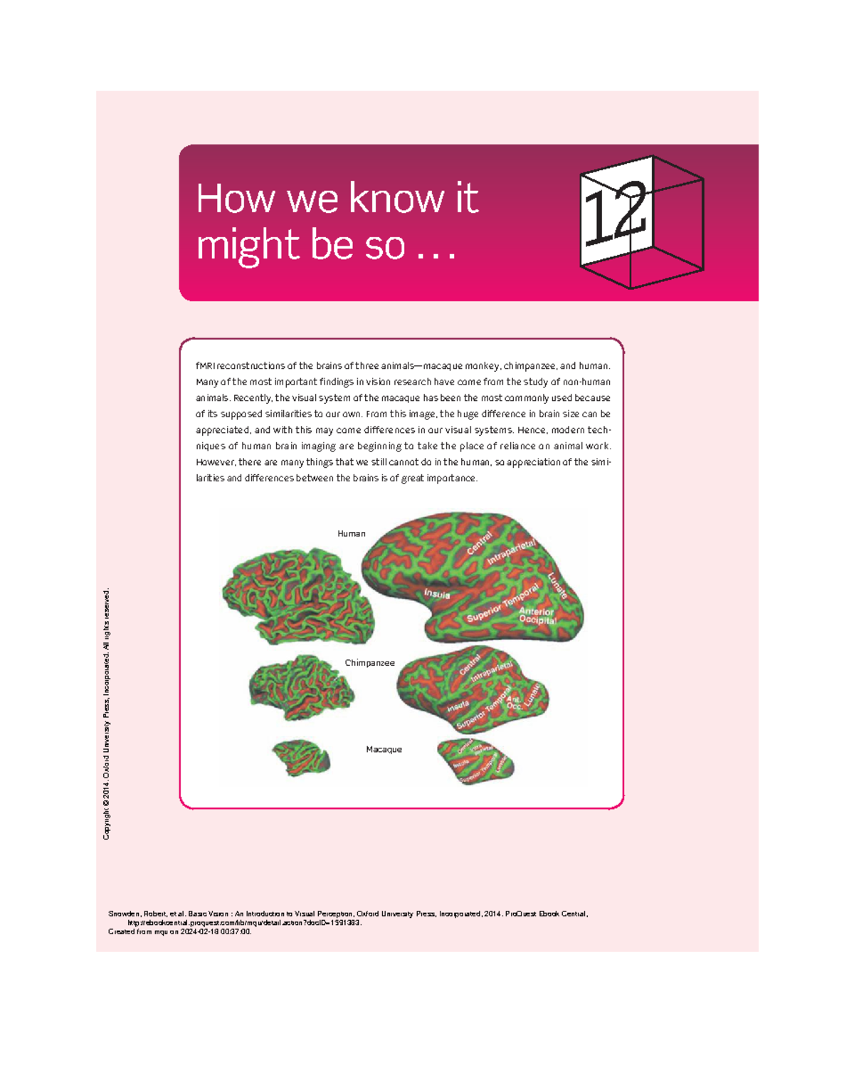 Basic Vision An Introduction to Visual Perception - (12 How we know it ...