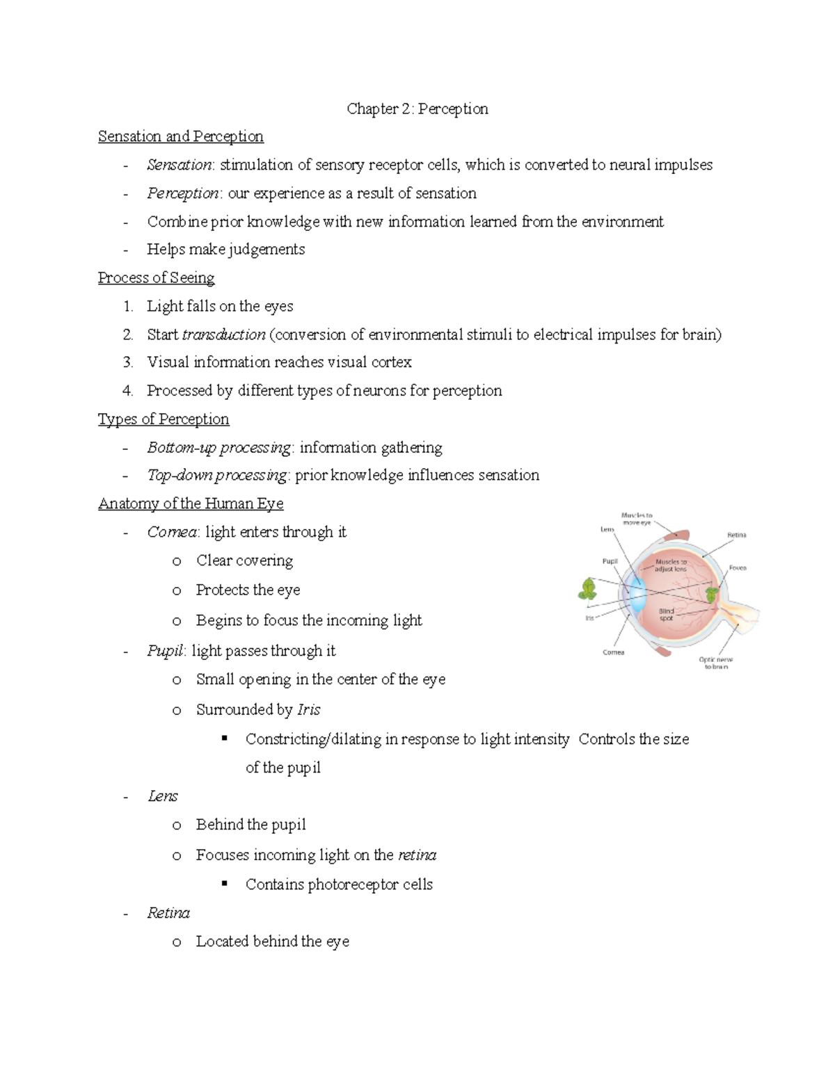 Chapter 2-Perception - Professor: Pilegard, Celeste Cristine - Chapter ...
