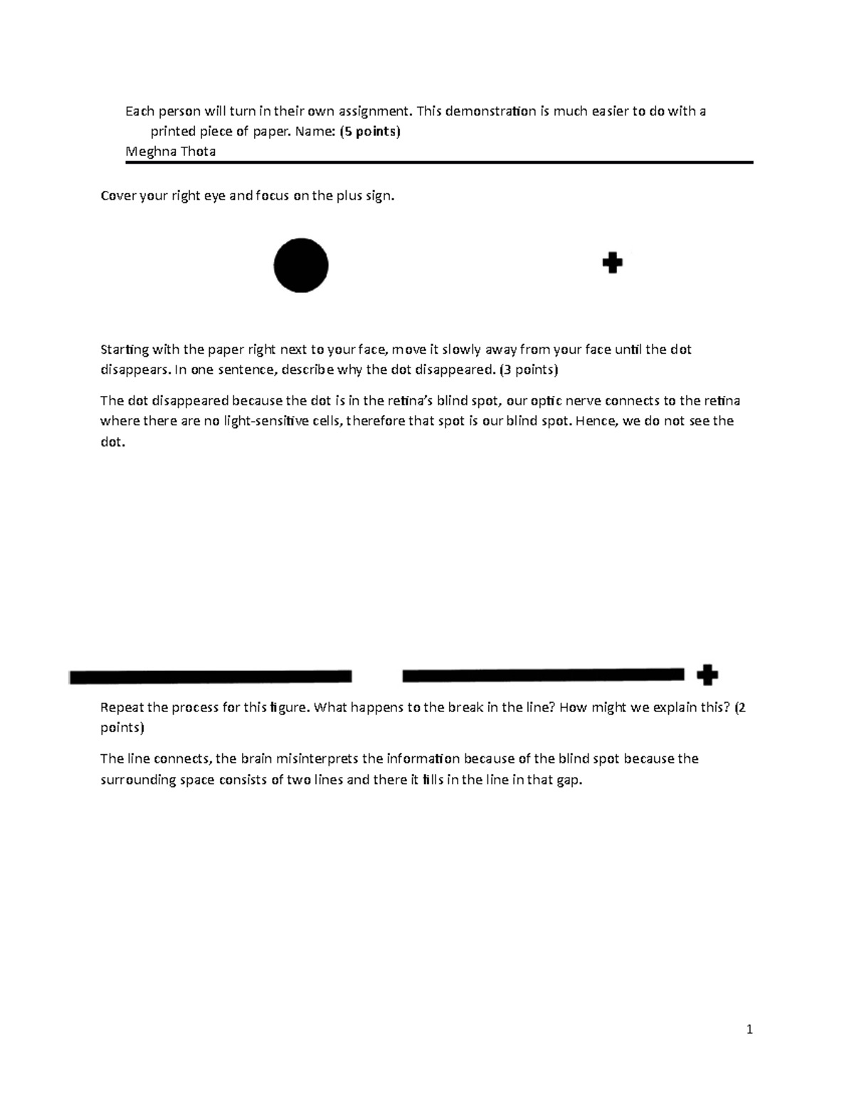 Lecture 11 Assignment - Visual perception - Each person will turn in ...