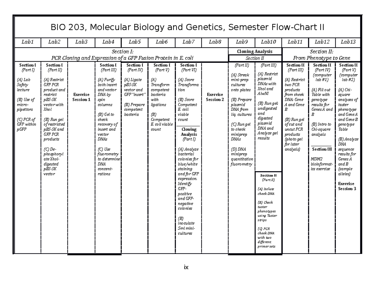 B- Semester Flow 2022 (b to b) - BIO 203, Molecular Biology and ...
