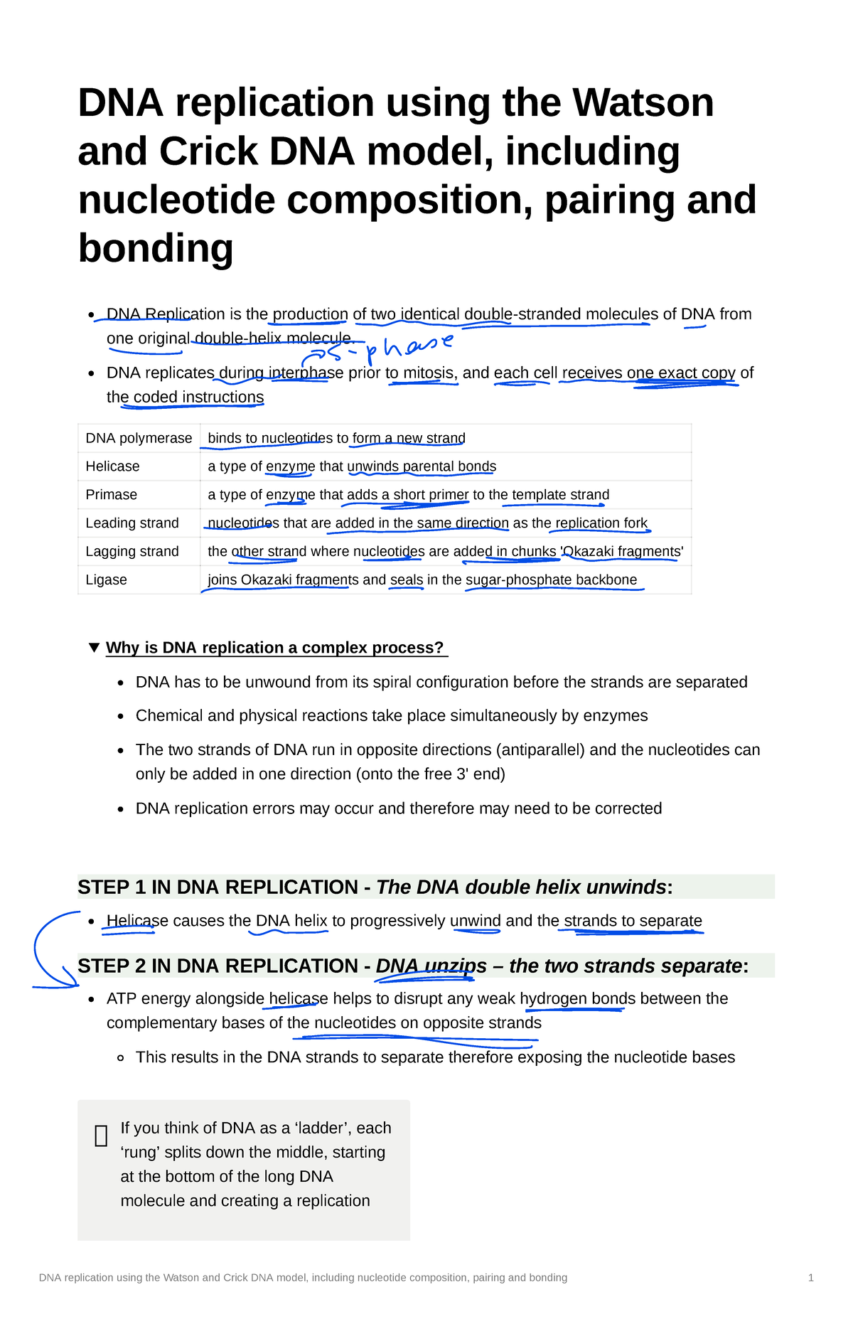 DNA replication using the Watson and Crick DNA model including ...