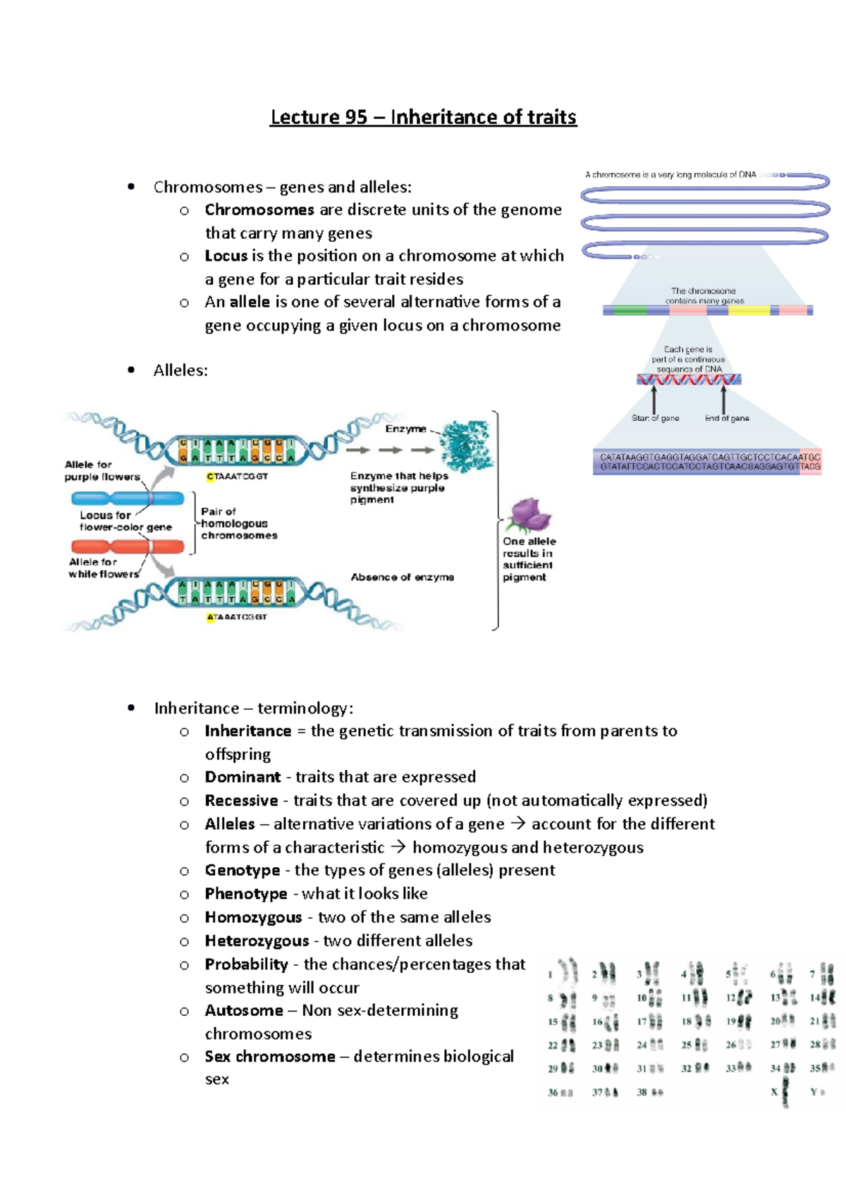 Lecture 95 – Inheritance of traits - Lecture 95 – Inheritance of traits Chromosomes – genes and ...