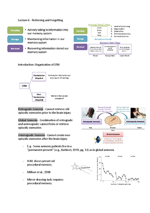 Memory and attention lecture 7 - lecture 7 Memory in the Real World Ecological in the onto ...