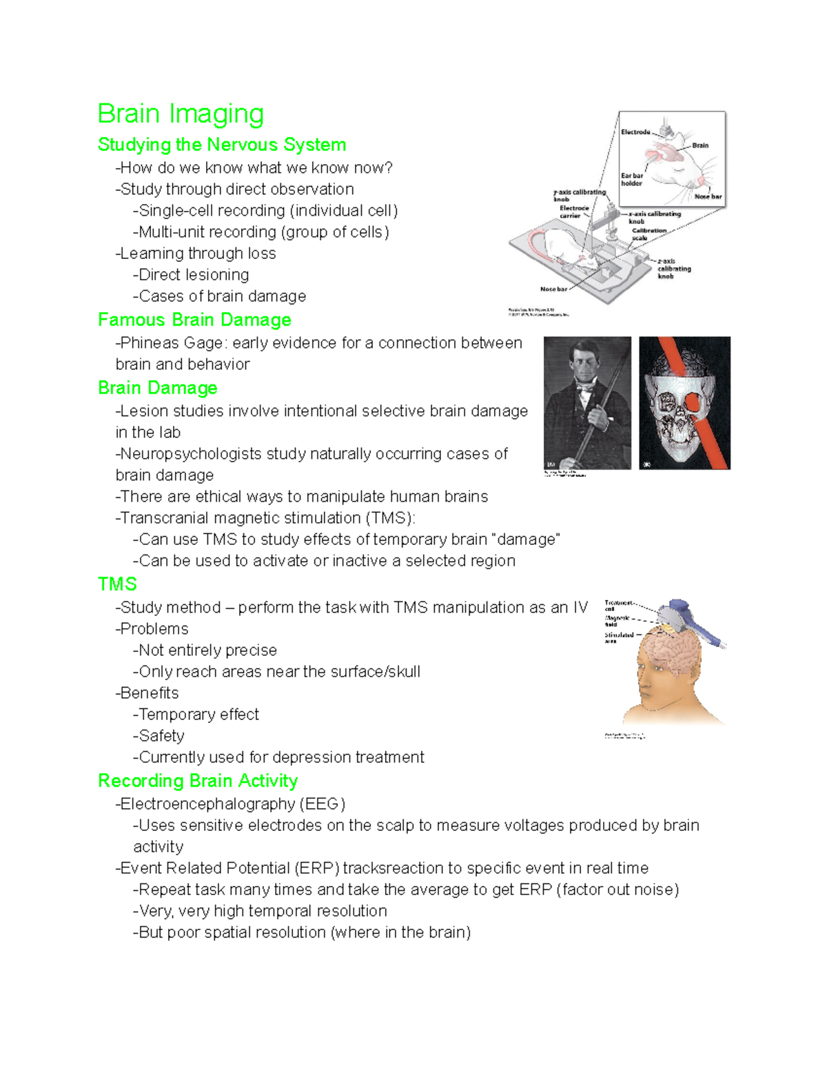 PSYC 201 Lecture 10 Brain Imaging - Brain Imaging Studying the Nervous System -How do we know ...