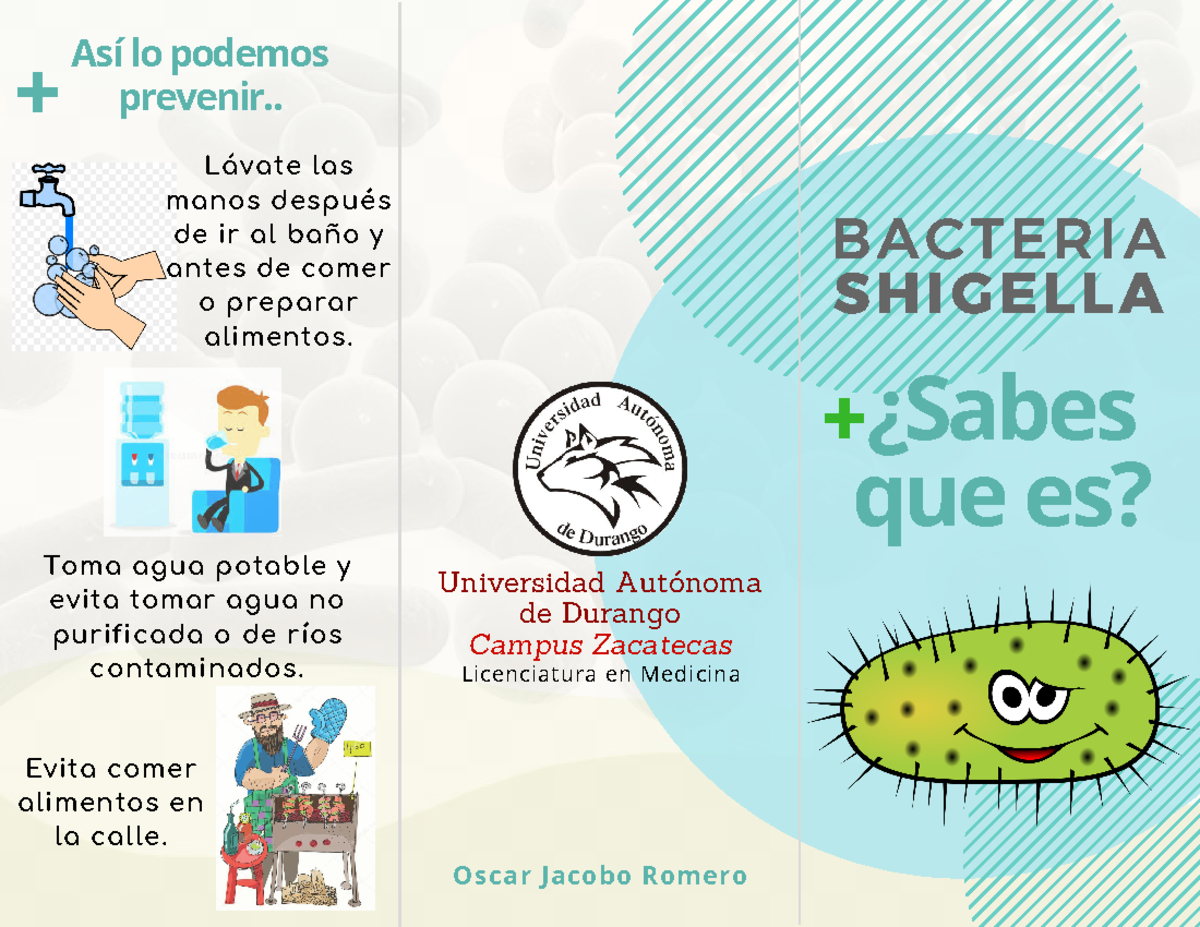Shigella - Así lo podemos prevenir.. ¿Sabes que es? BACTERIA SHIGELLA ...