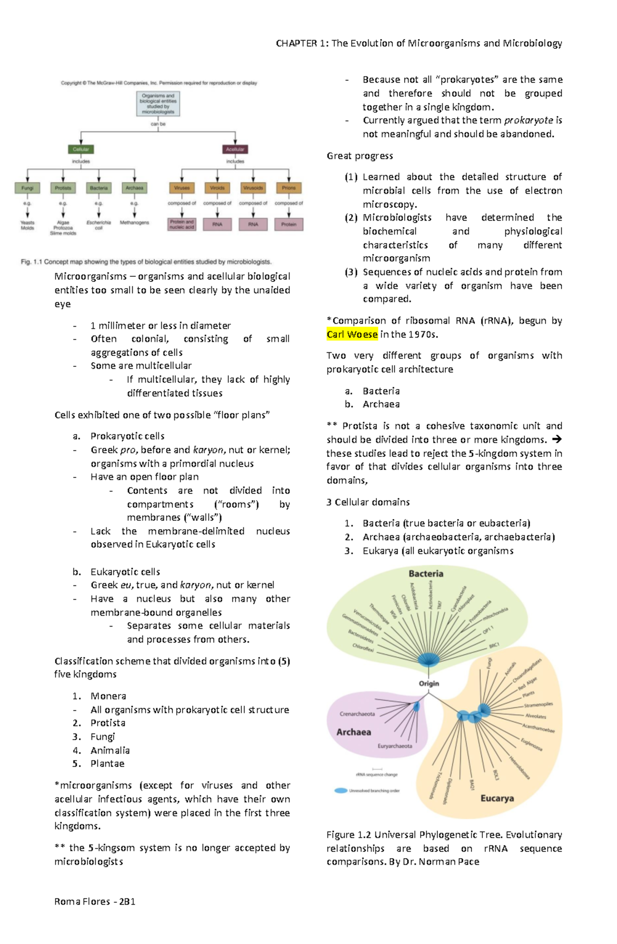Chapter 1-Introduction - Microorganisms – organisms and acellular ...