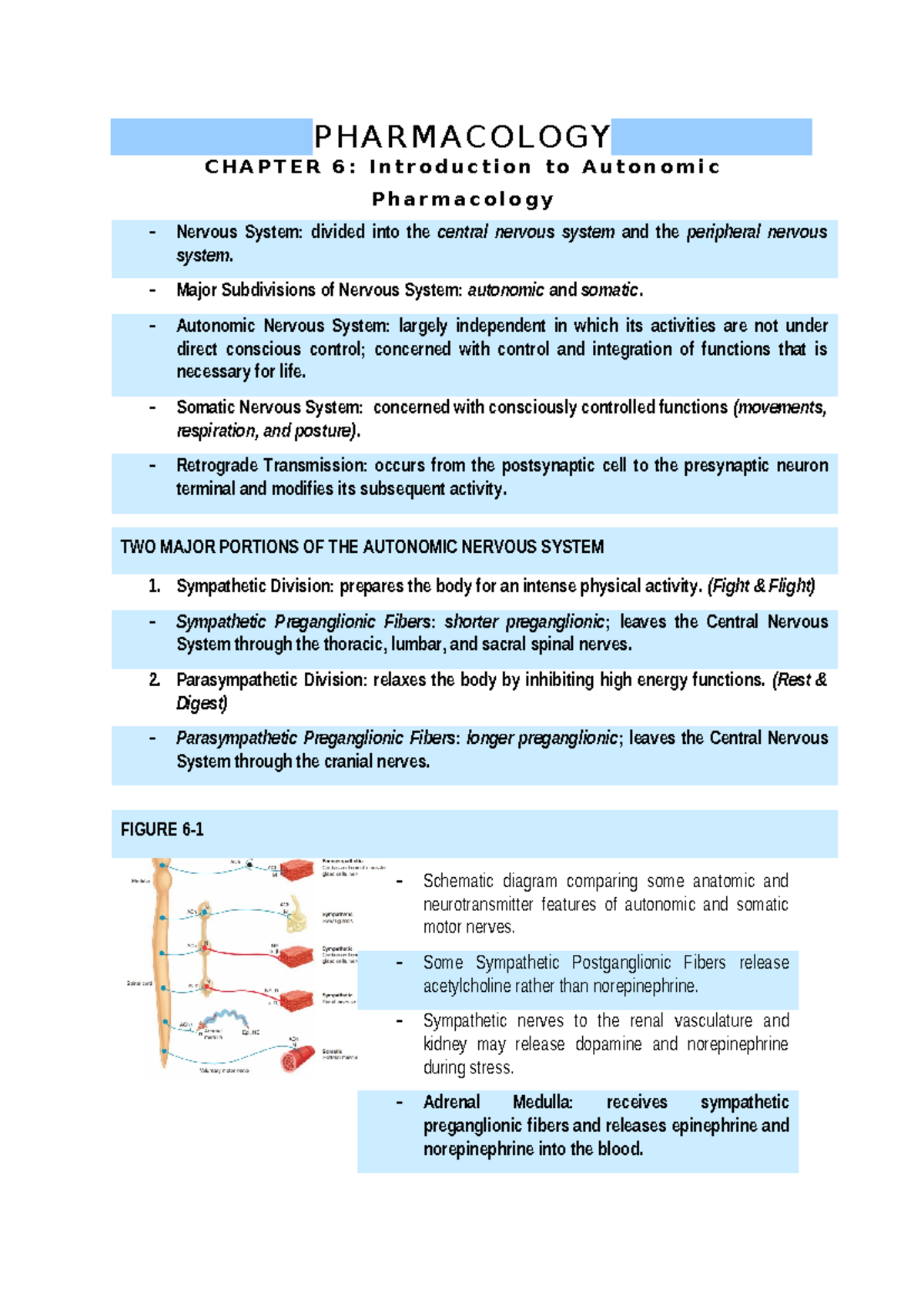 Section II - Autonomic Drugs - P HARM AC OLOGY C H A P T E R 6 : I n t r o d u c t i o n t o A u ...
