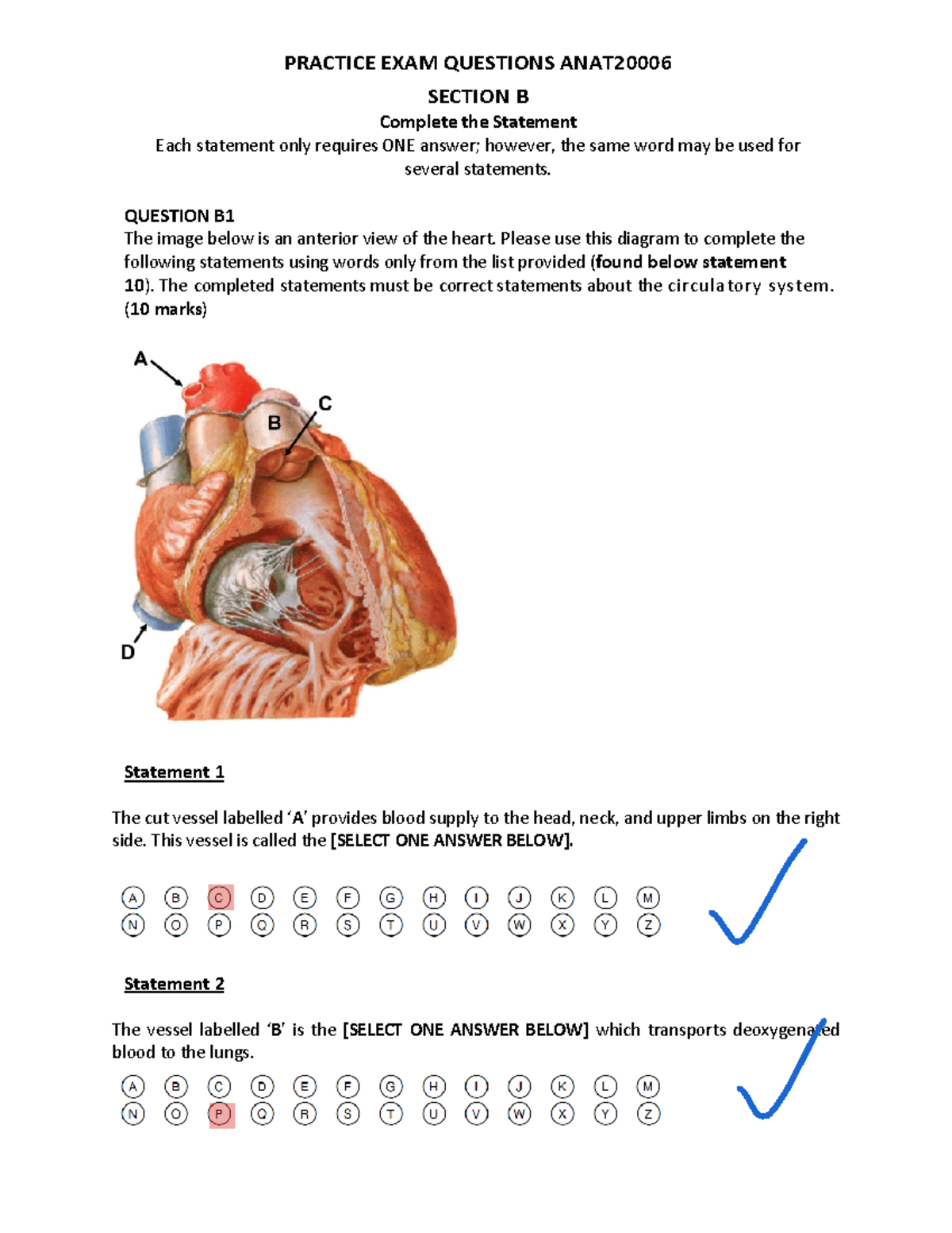 ANAT2000 6 Practice Questions Final Exam - PRACTICE EXAM QUESTIONS ANAT ...