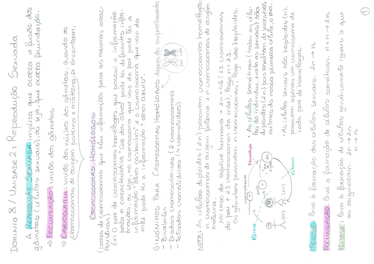 Reprodução Sexuada - Janajska a ajajja - Biologia e Geologia - Studocu