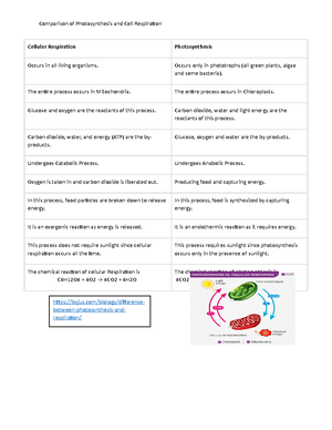 Gizmos LAB Cell Energy Cycle - Student Exploration: Cell Energy Cycle ...