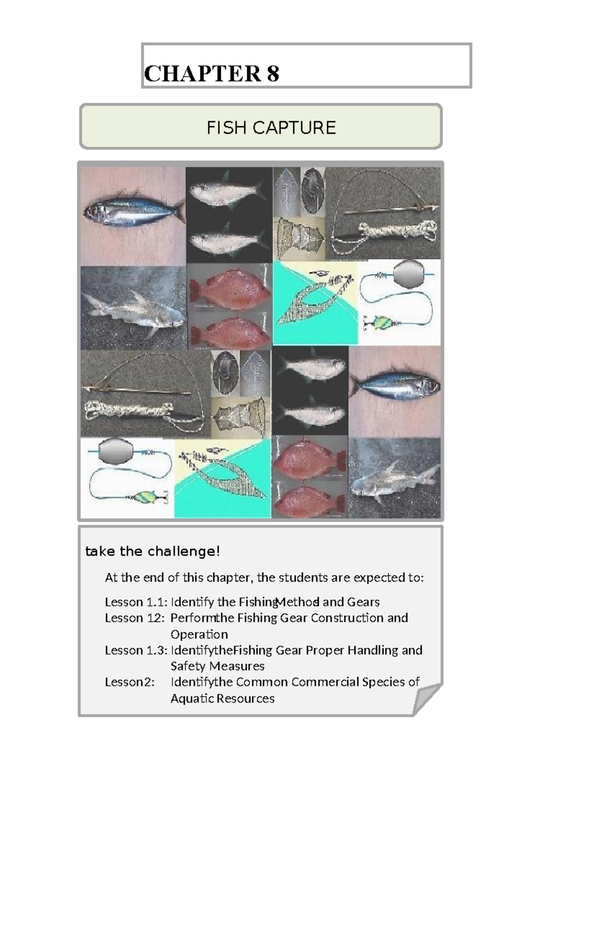 Different kinds of nets - CHAPTER 8 FISH CAPTURE take the challenge! At ...