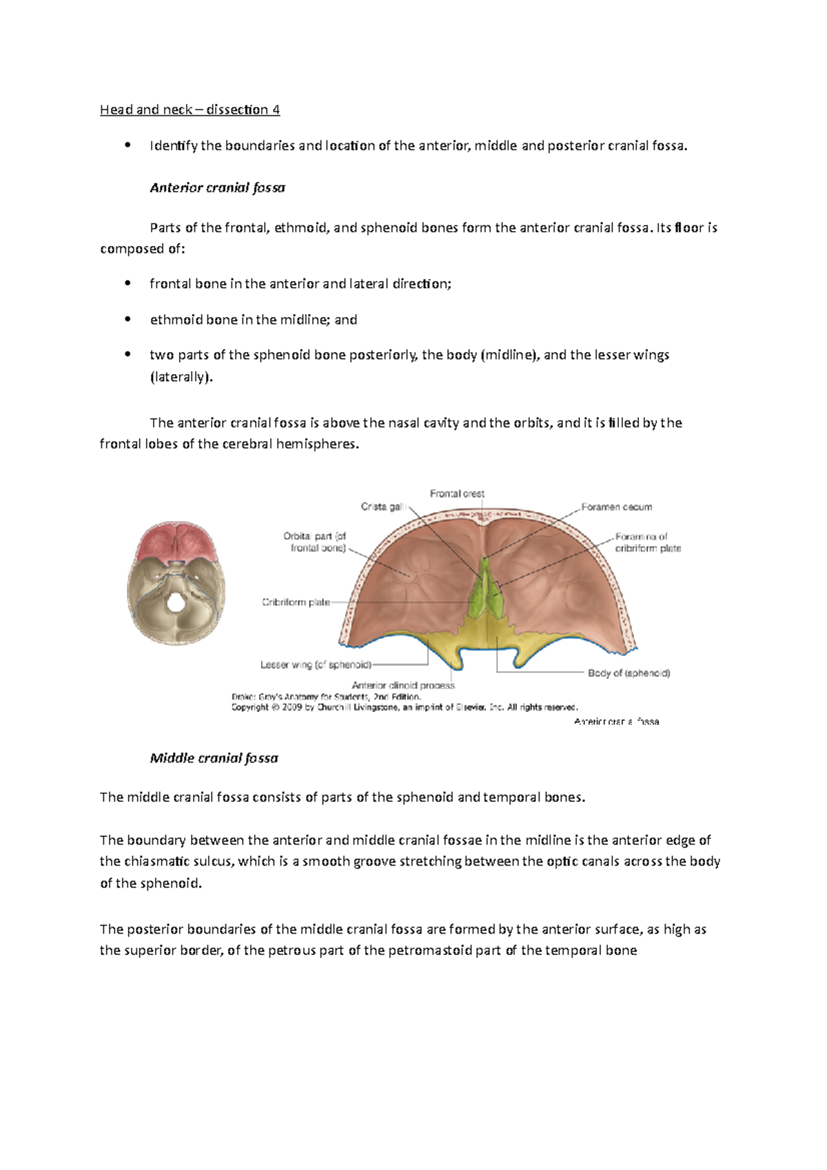 Head and neck dissection 4 - Head and neck – dissection 4 Identify the ...