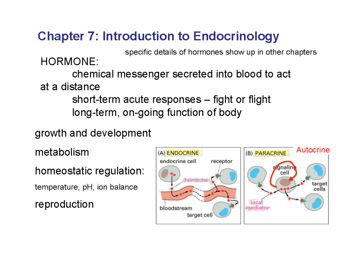 Chp7endocrine UP - Chapter 7: Introduction to Endocrinology specific ...