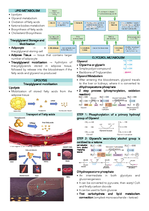 Rank the 5 NU core values according to your personal choice - MERCADO ...