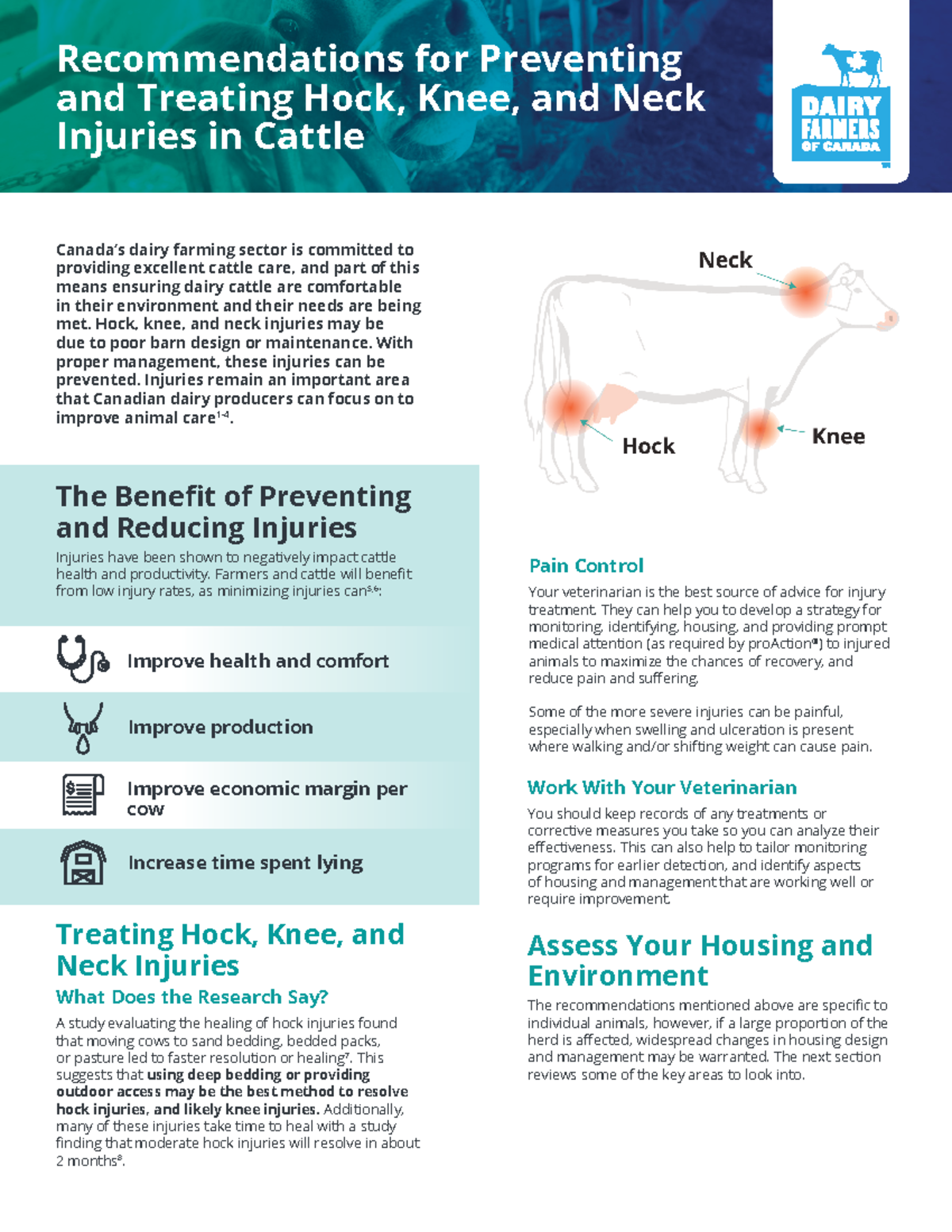 2 - cow disease - Recommendations for Preventing and Treating Hock ...