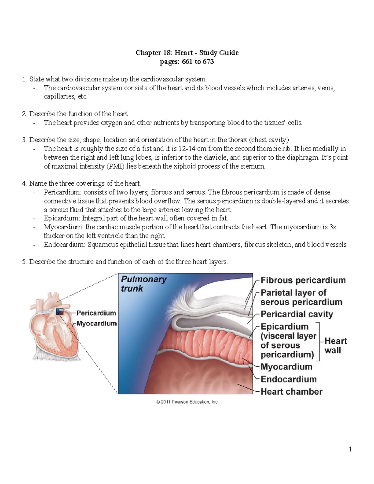 Chapter 18 Heart Study Guide - Chapter 18: Heart - Study Guide pages: 661 to 673 State what two ...