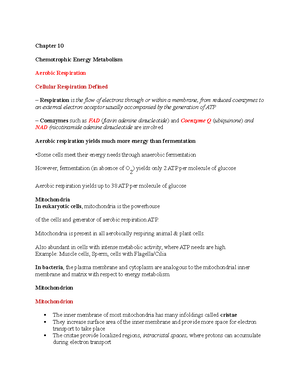 Biomolecules on the Menu Student Worksheet High School Biomolecules ...