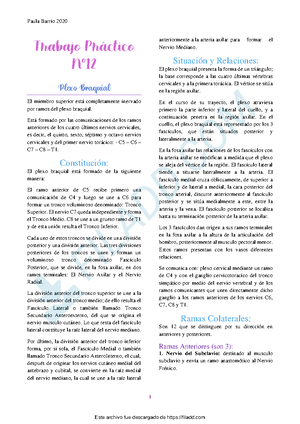 Proyeccion geometrica de la imagen radiografica - UNIDAD 2 RAYO CENTRAL ...